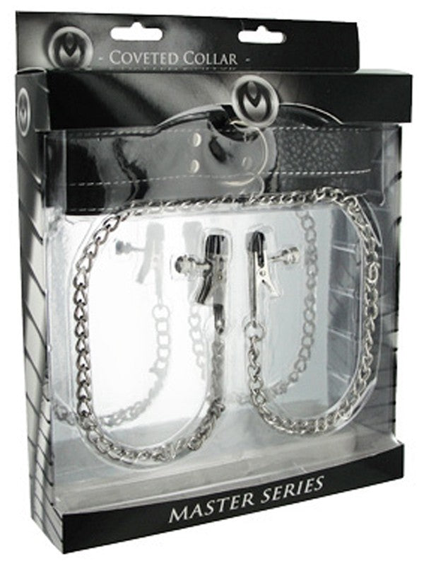 Coveted Collar And Clamp Union